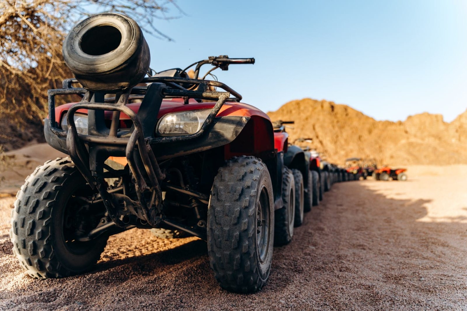 Powersports Batteries – Tiger Battery